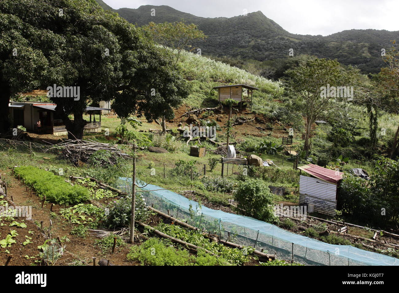 LAFERM COCO À BAMBOUS VIRIEUX Stock Photo - Alamy