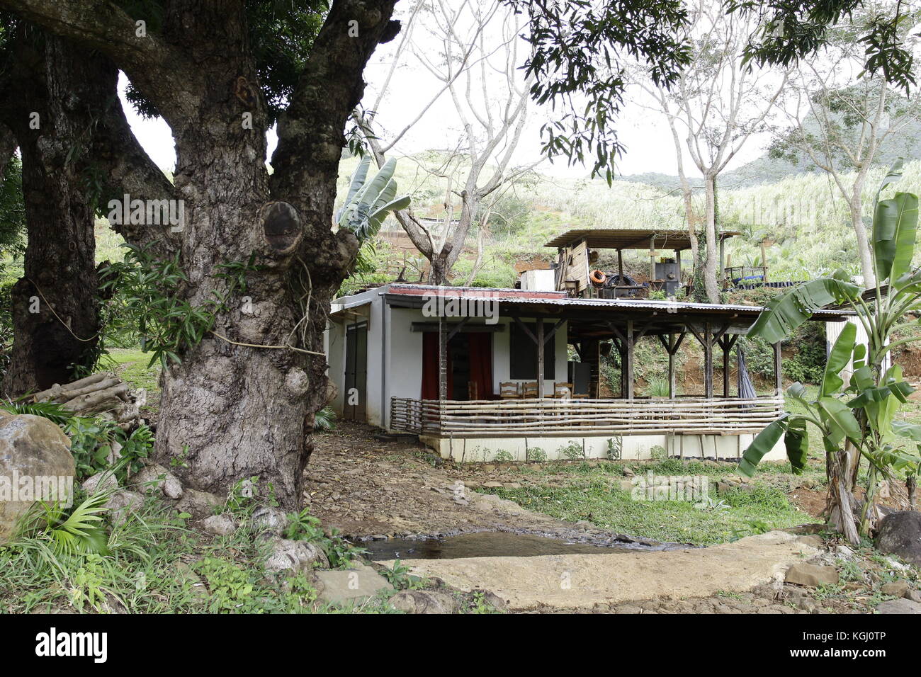 LAFERM COCO À BAMBOUS VIRIEUX Stock Photo - Alamy