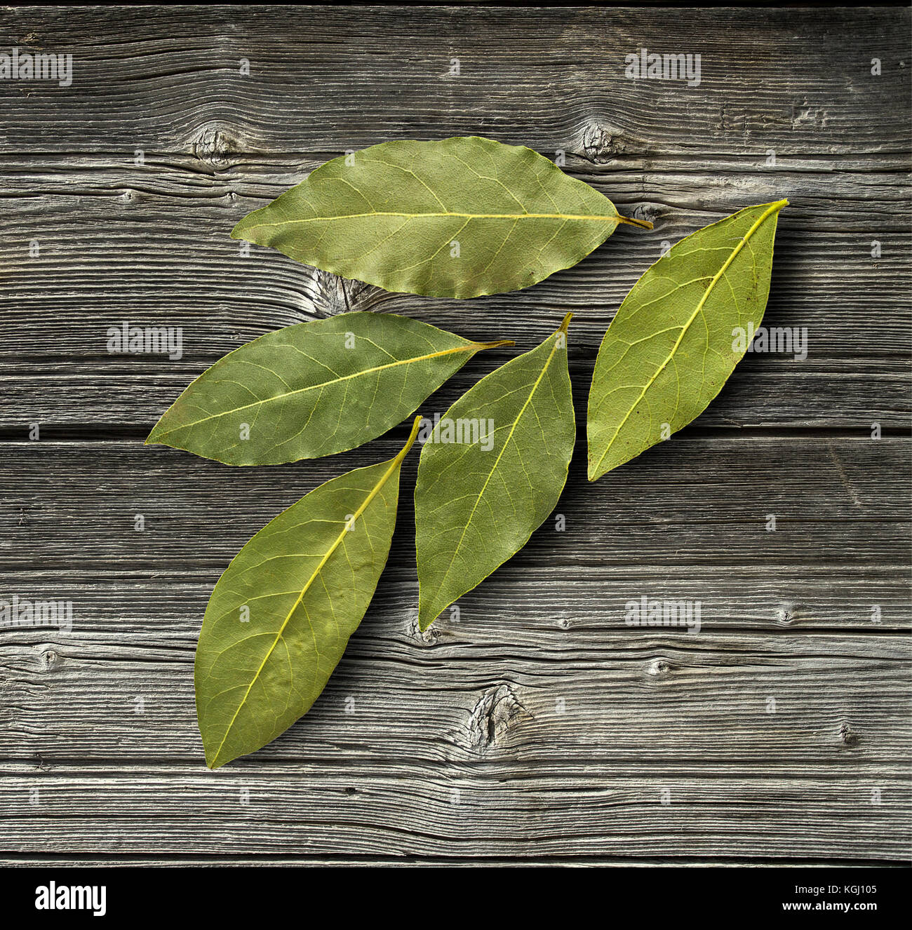 Dry bay leaf on the wooden rustic background, top view. Bay leaf ...