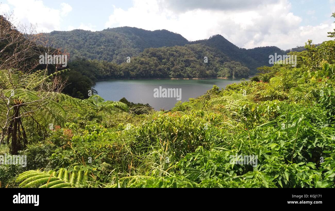 Volcanic foliage hi-res stock photography and images - Alamy