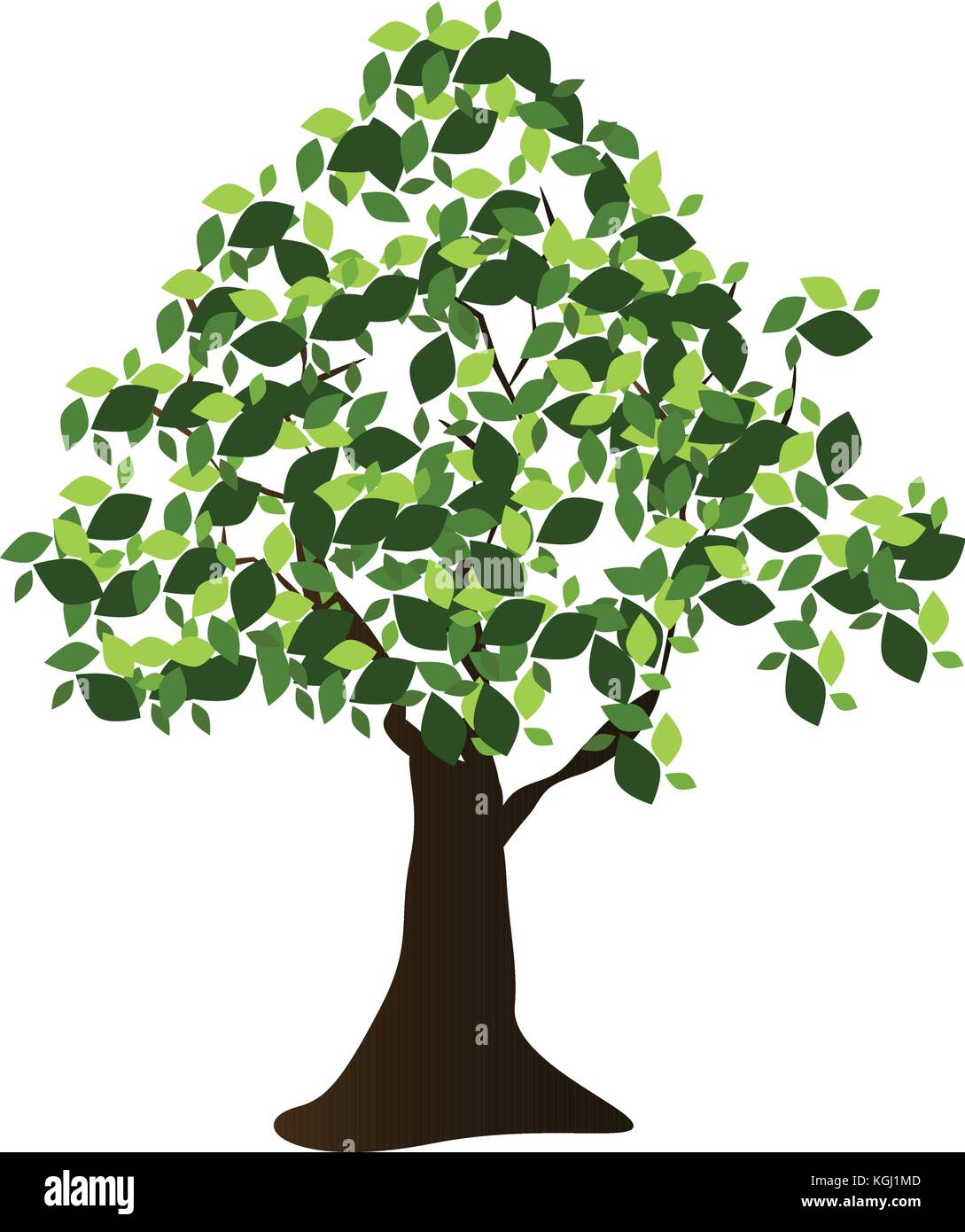 Isolated tree illustration Stock Vector Image & Art - Alamy