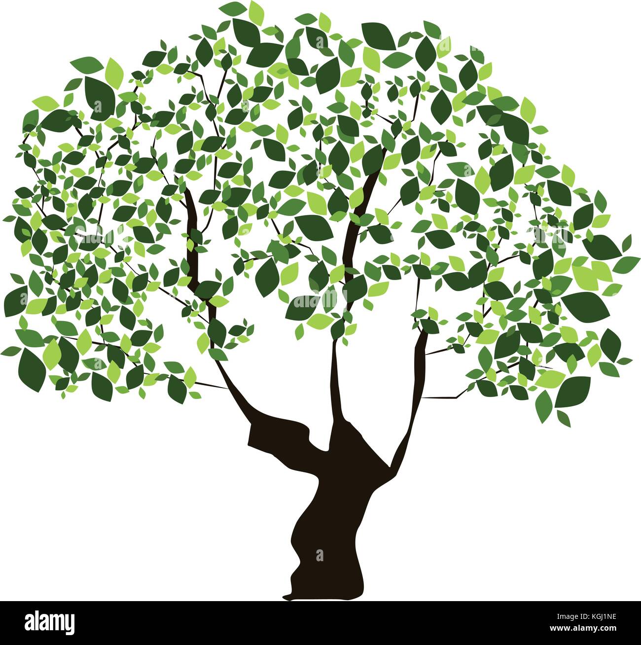 Isolated tree illustration Stock Vector Image & Art - Alamy