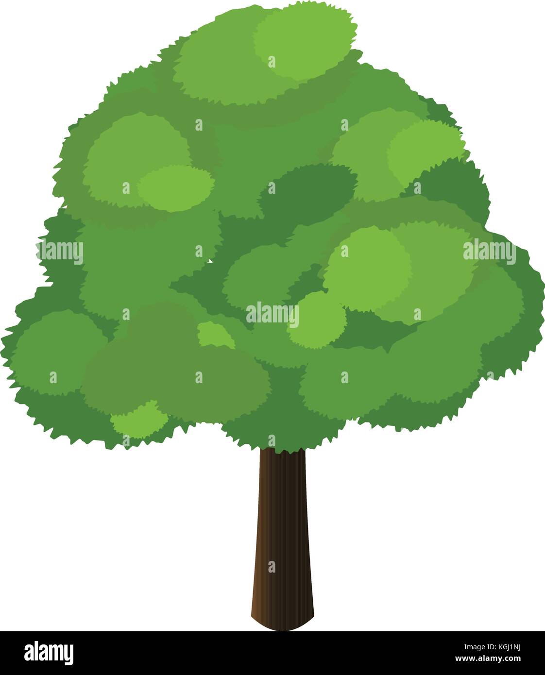 Isolated tree illustration Stock Vector Image & Art - Alamy
