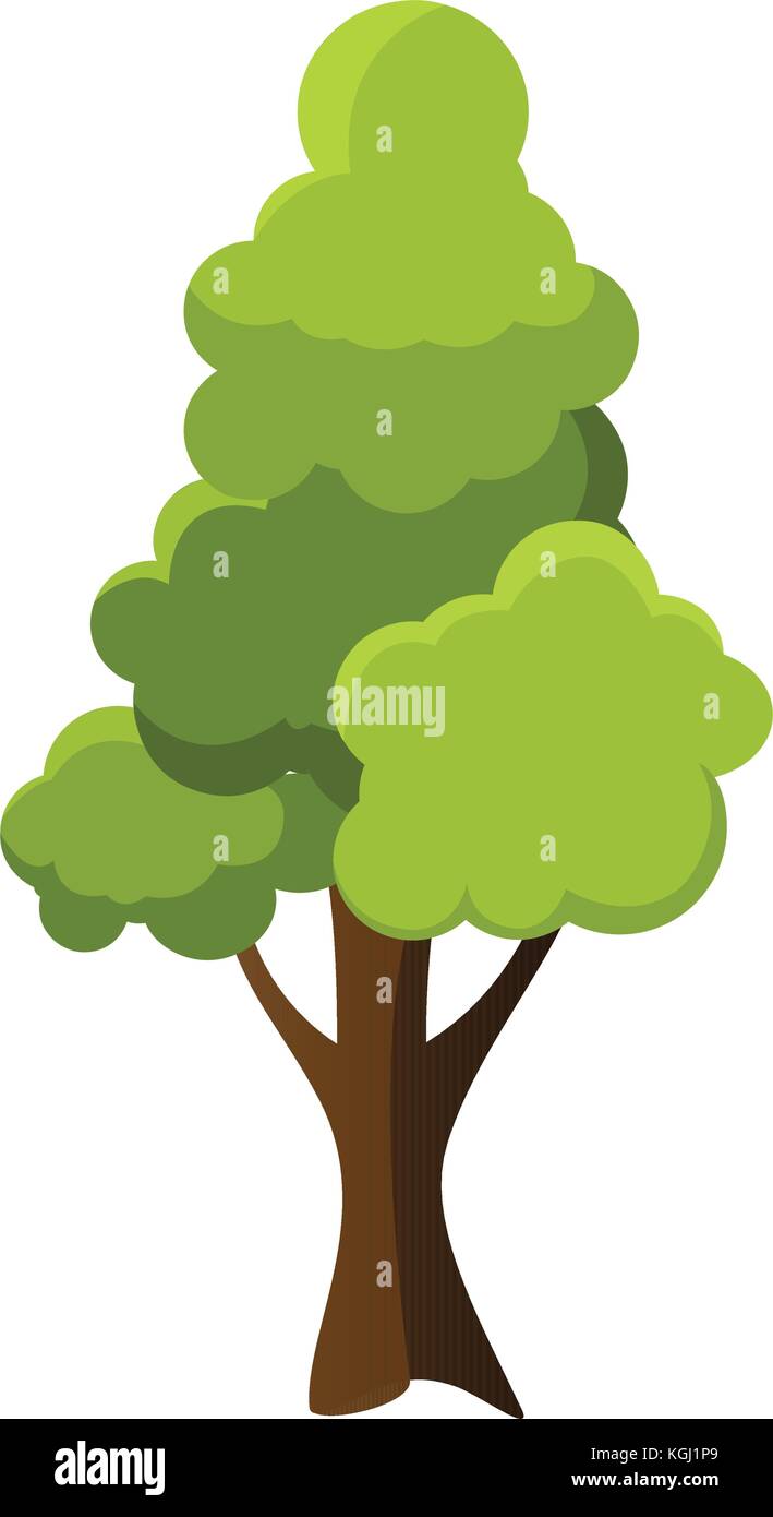 Isolated tree illustration Stock Vector Image & Art - Alamy