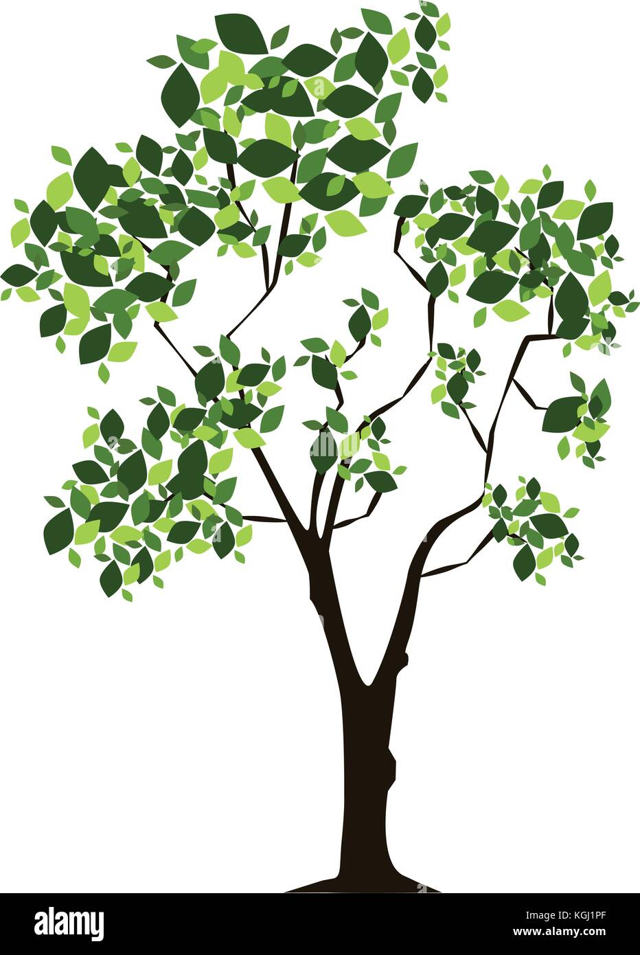 Isolated tree illustration Stock Vector Image & Art - Alamy