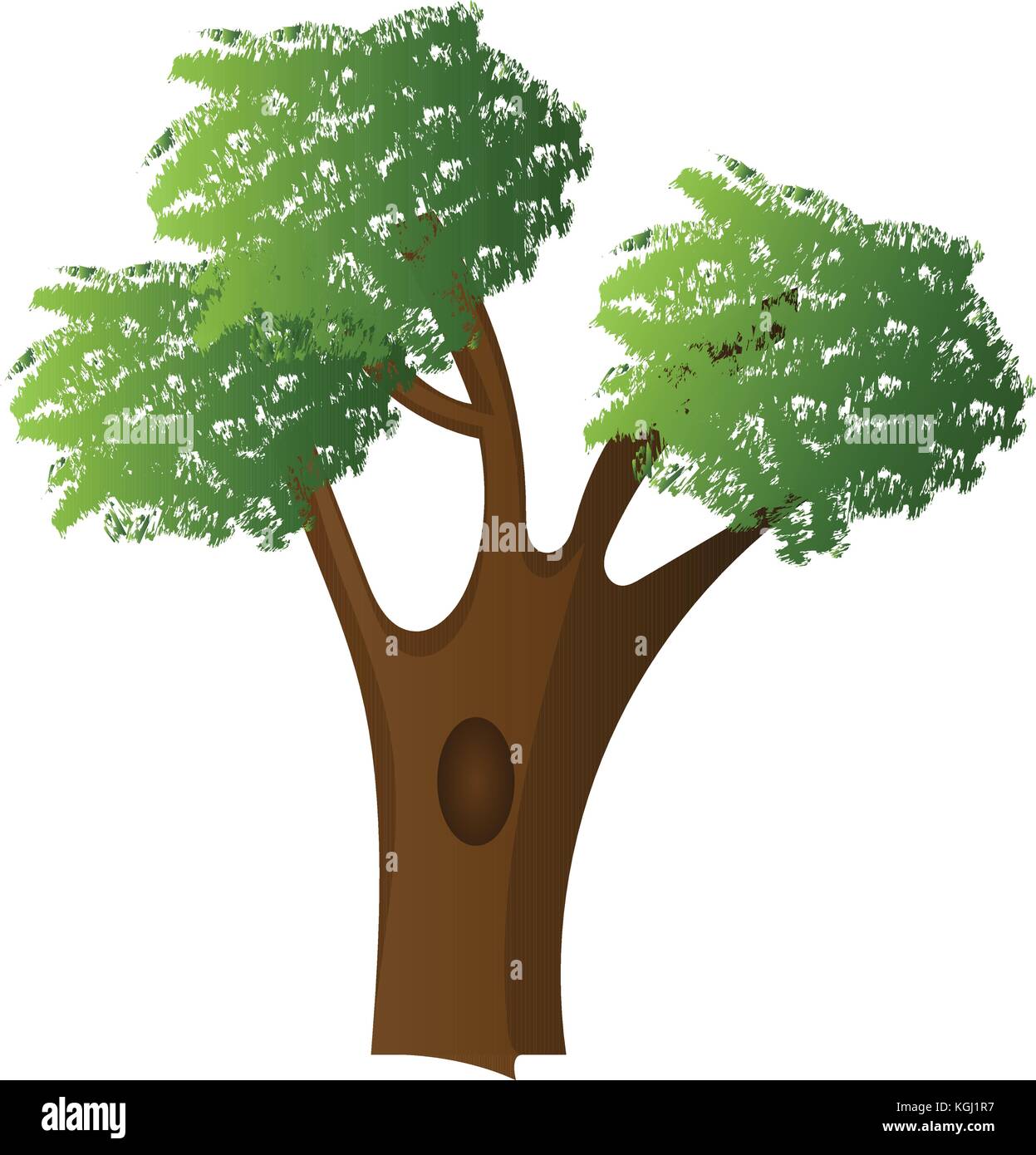 Isolated tree illustration Stock Vector Image & Art - Alamy