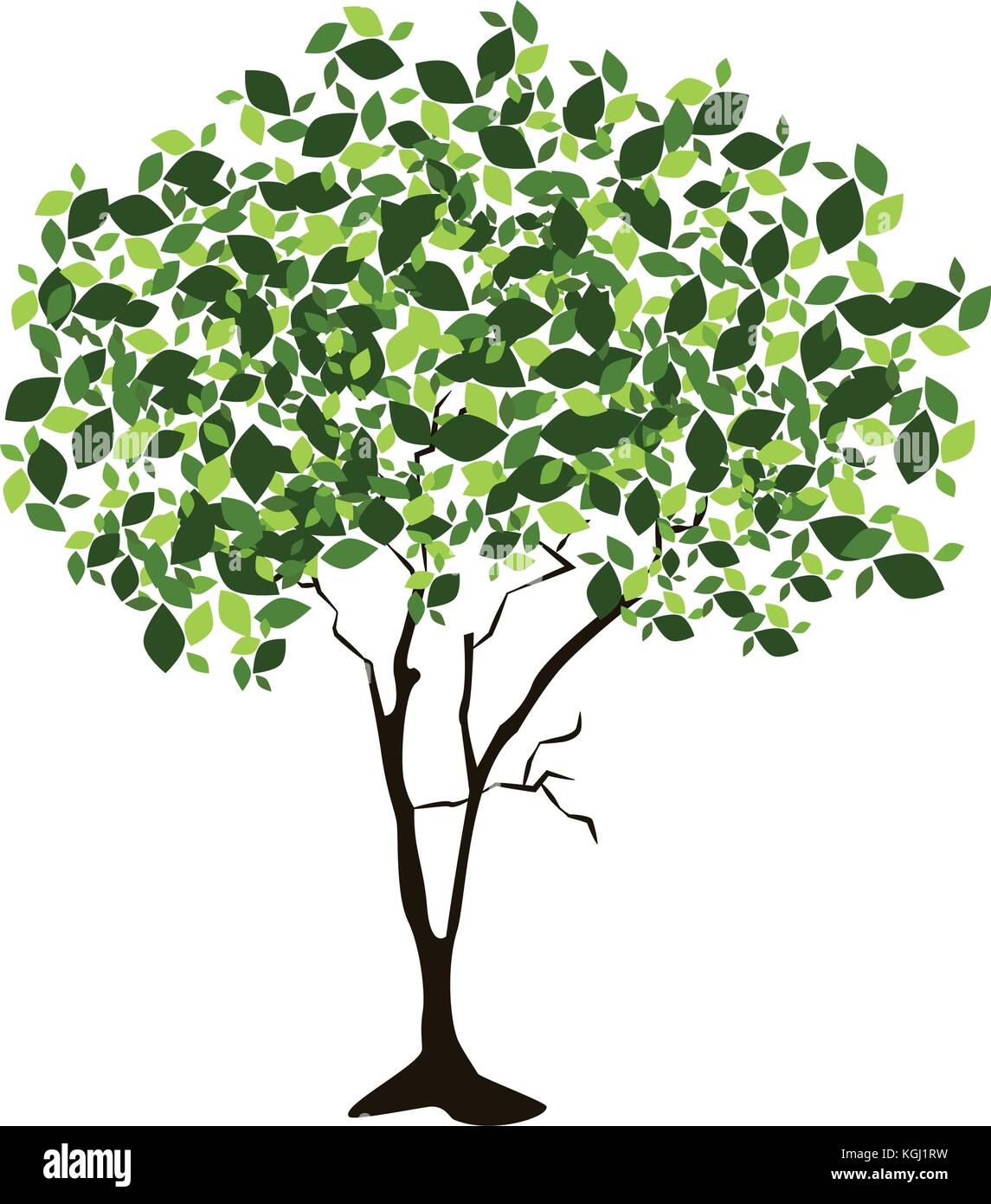 Isolated tree illustration Stock Vector Image & Art - Alamy