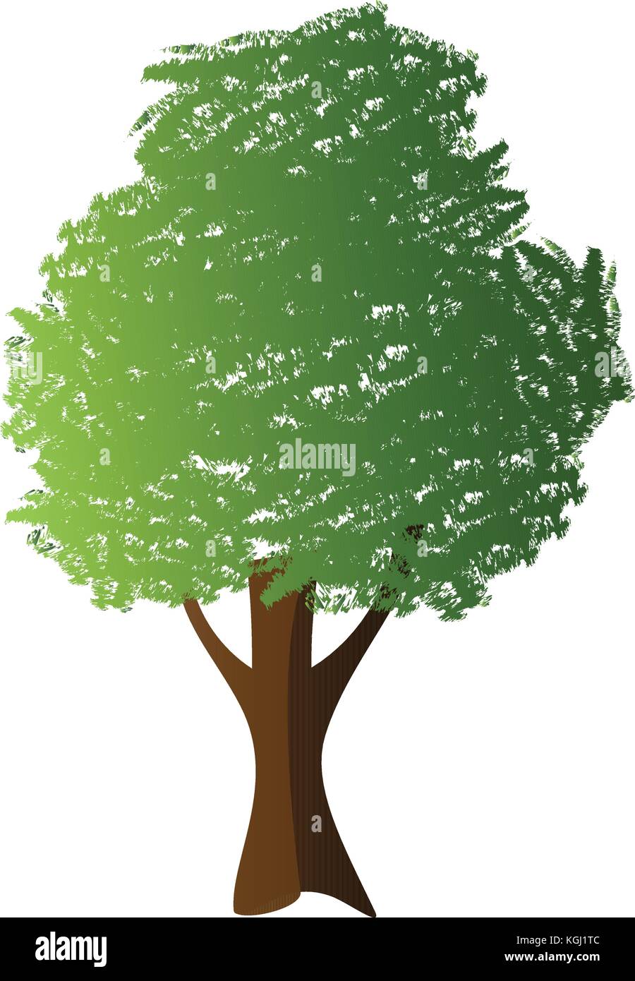 Isolated tree illustration Stock Vector Image & Art - Alamy