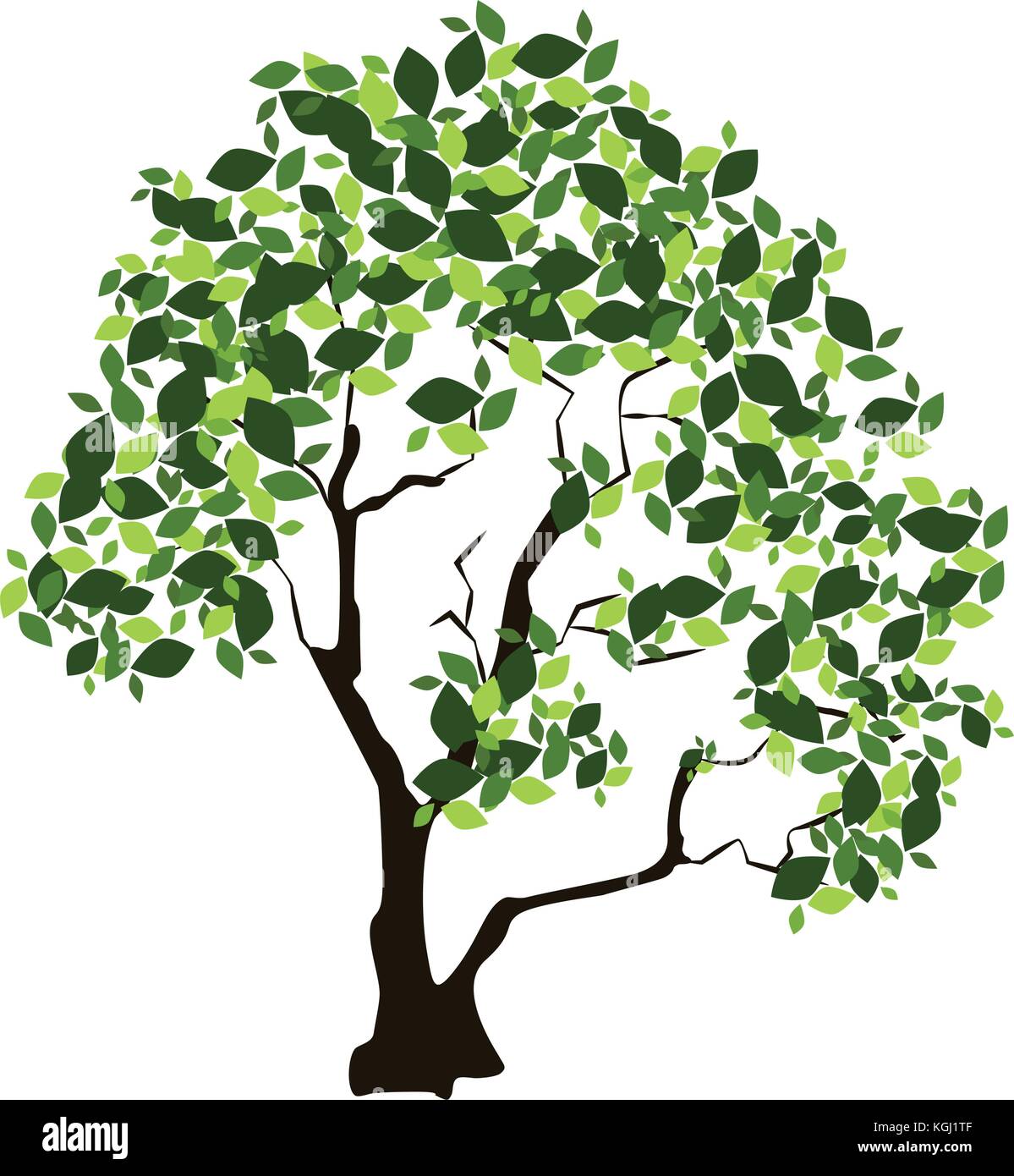 Isolated tree illustration Stock Vector Image & Art - Alamy