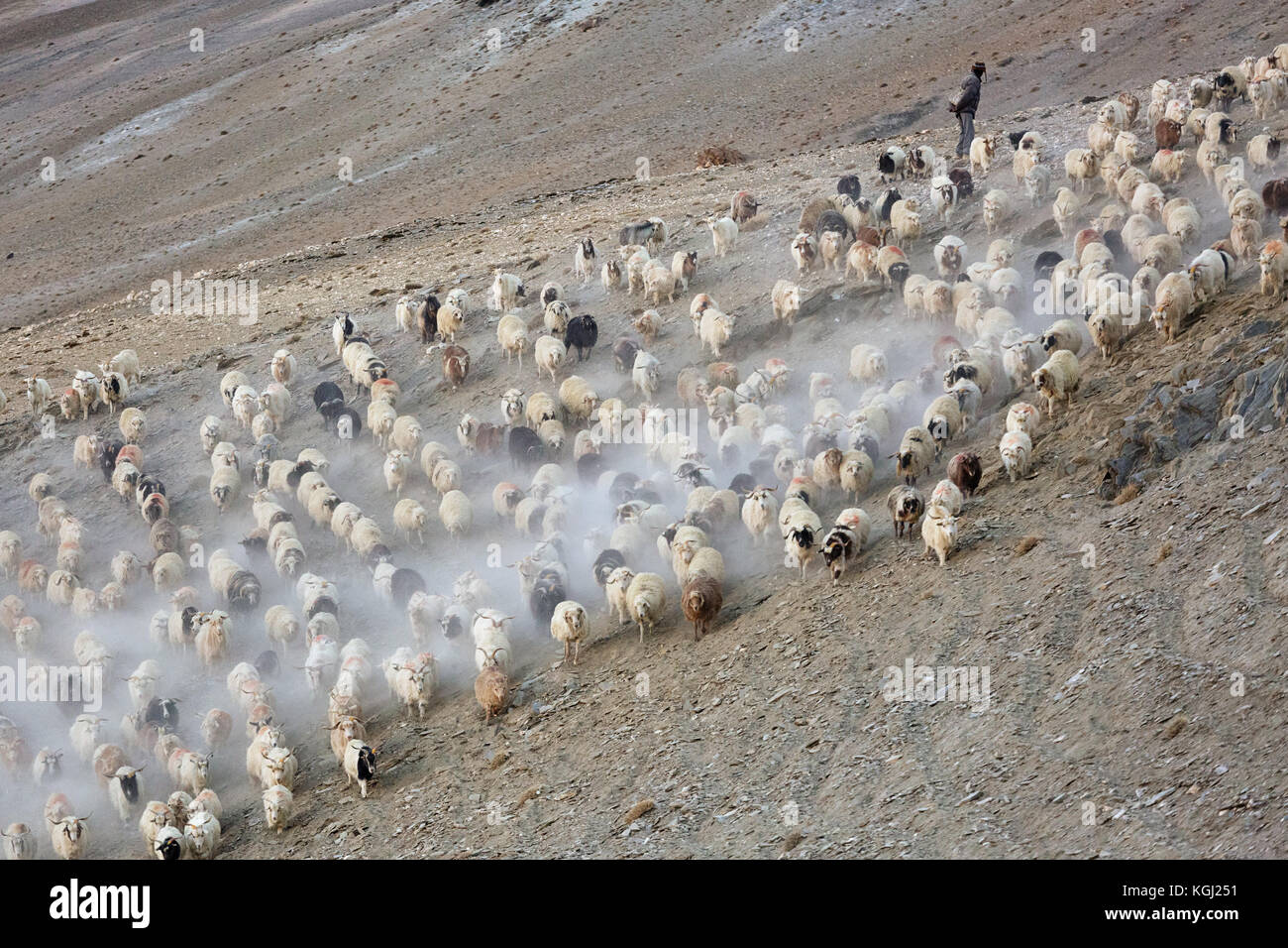 Nomadic herder culture hi-res stock photography and images - Alamy