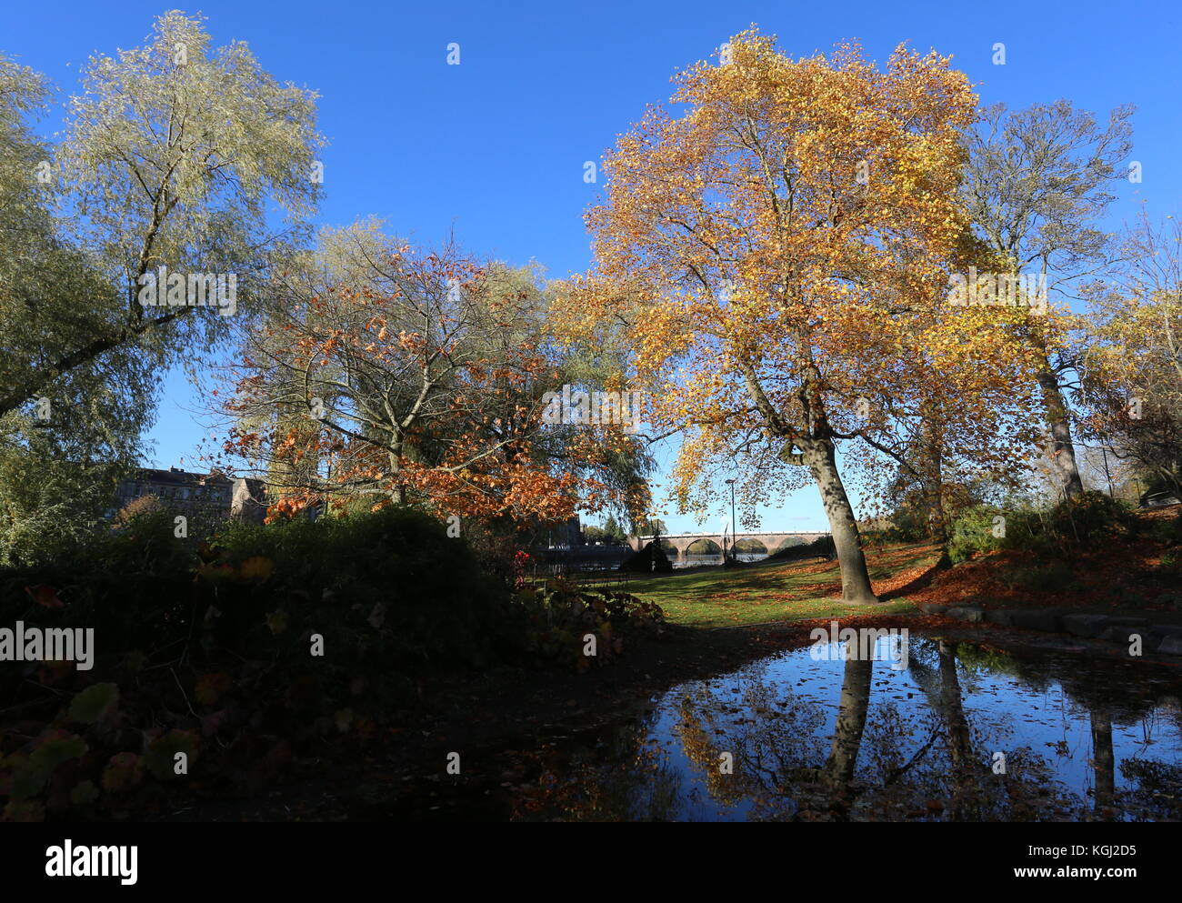 Trees reflected in pond Norie-Miller Park Perth Scotland November 2017 ...