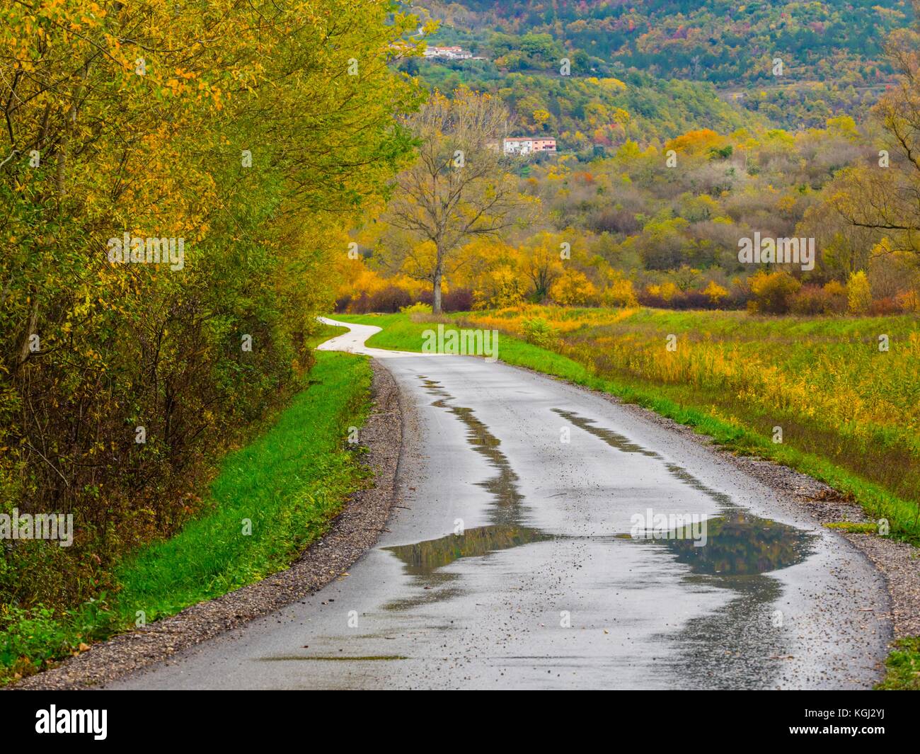 Country-road after rain Stock Photo - Alamy Country-road after rain Stock Photo - Alamy
