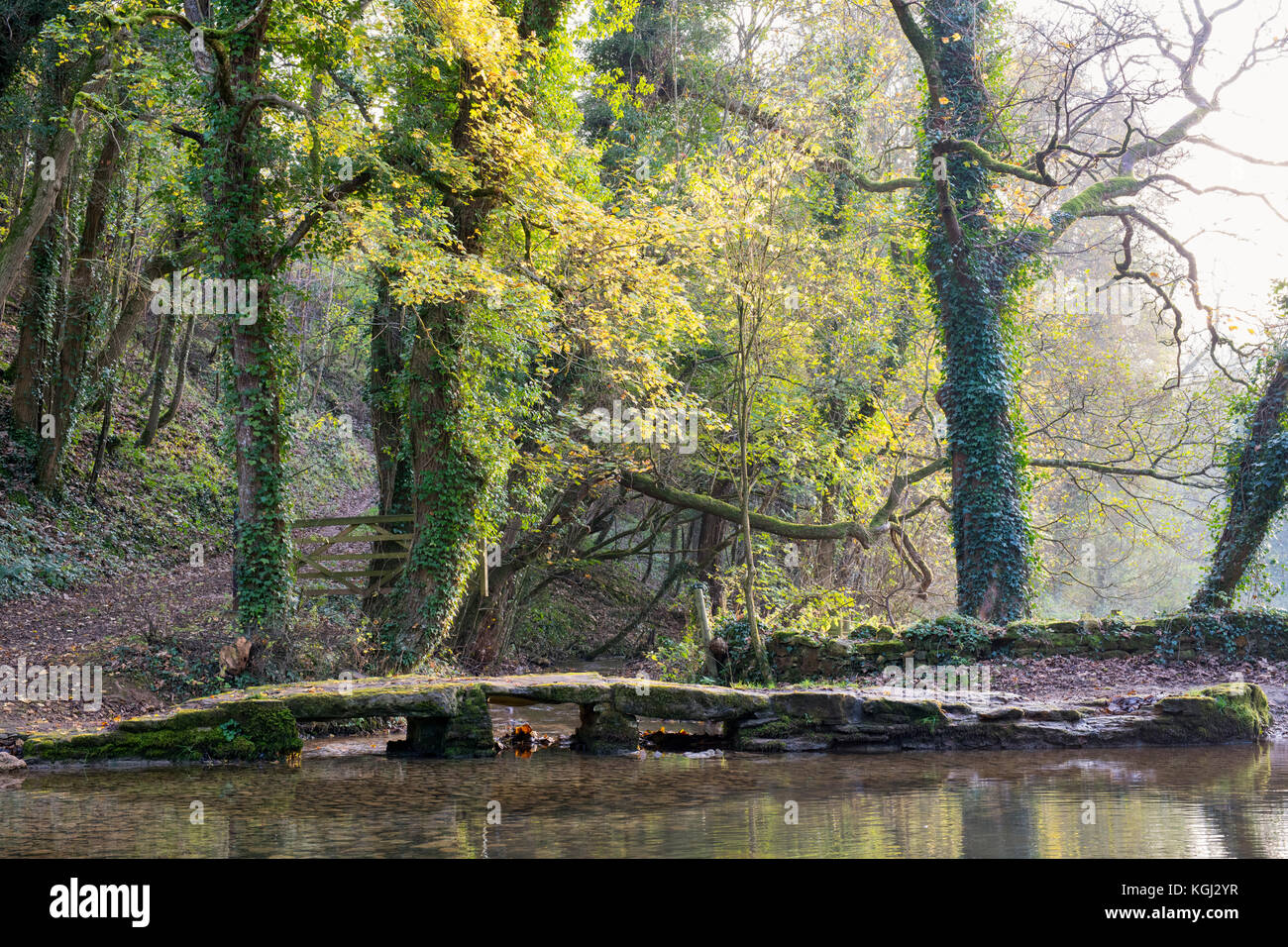 Bridges and branches and rivers and rivers hi-res stock photography and ...