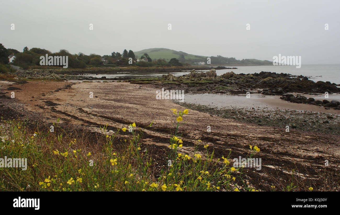 Rockcliffe Beach High Resolution Stock Photography and Images - Alamy