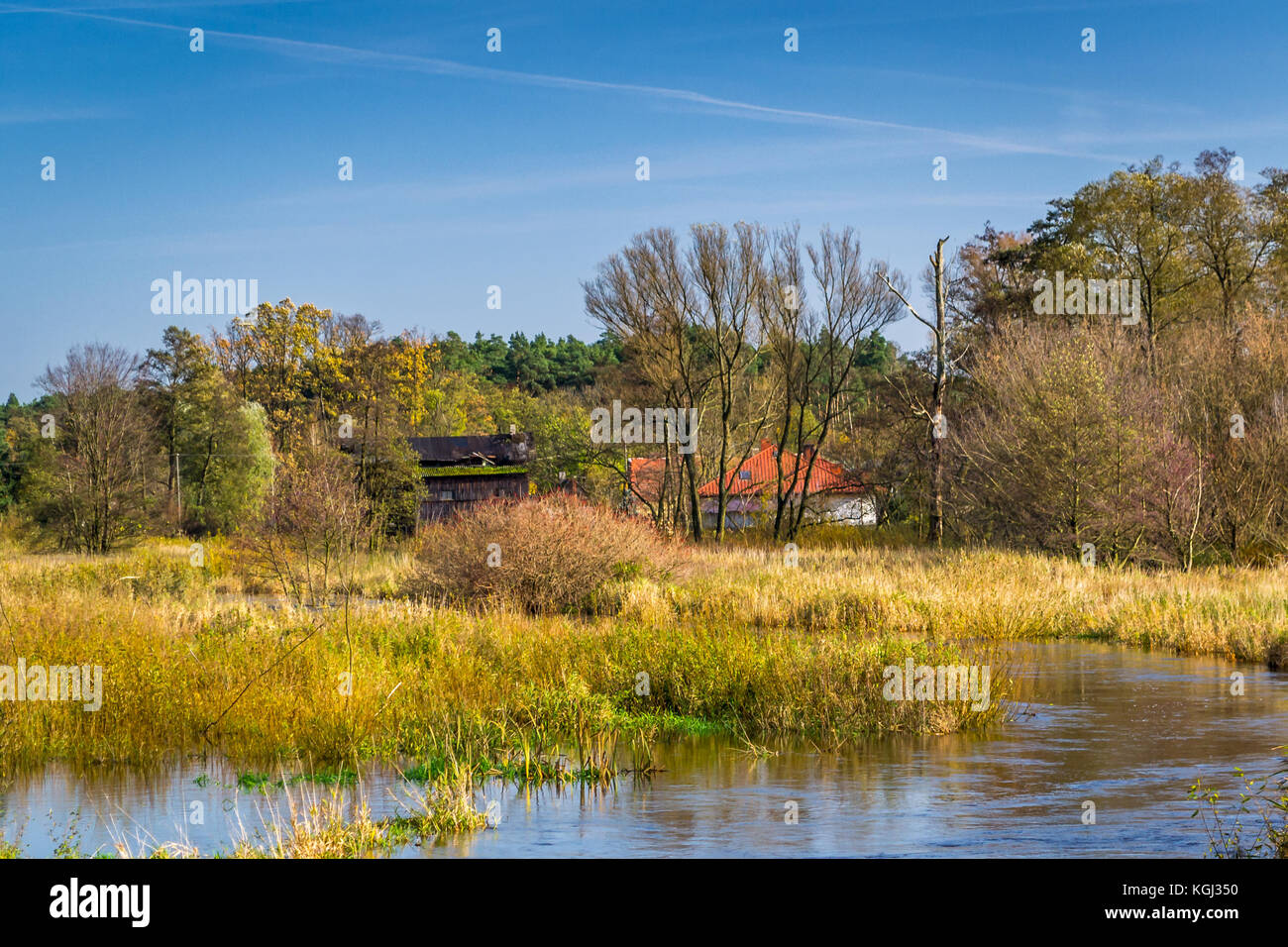 Autumn on the river Grabia, Poland Stock Photo - Alamy