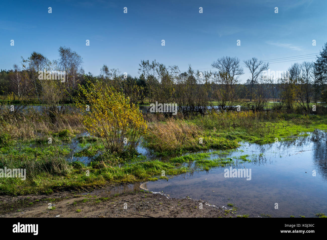 Autumn on the river Grabia, Poland Stock Photo - Alamy