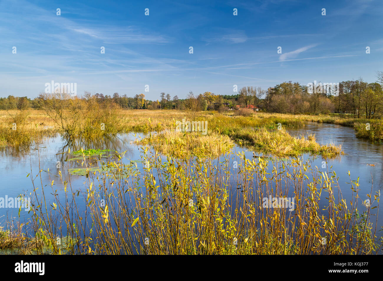 Autumn on the river Grabia, Poland Stock Photo - Alamy