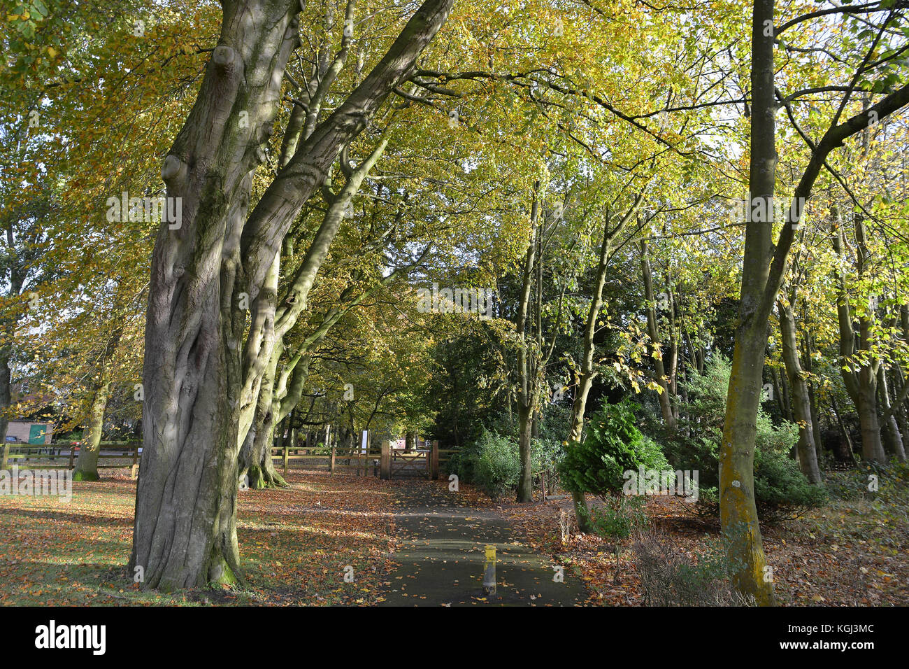 Autumn time across England Stock Photo - Alamy