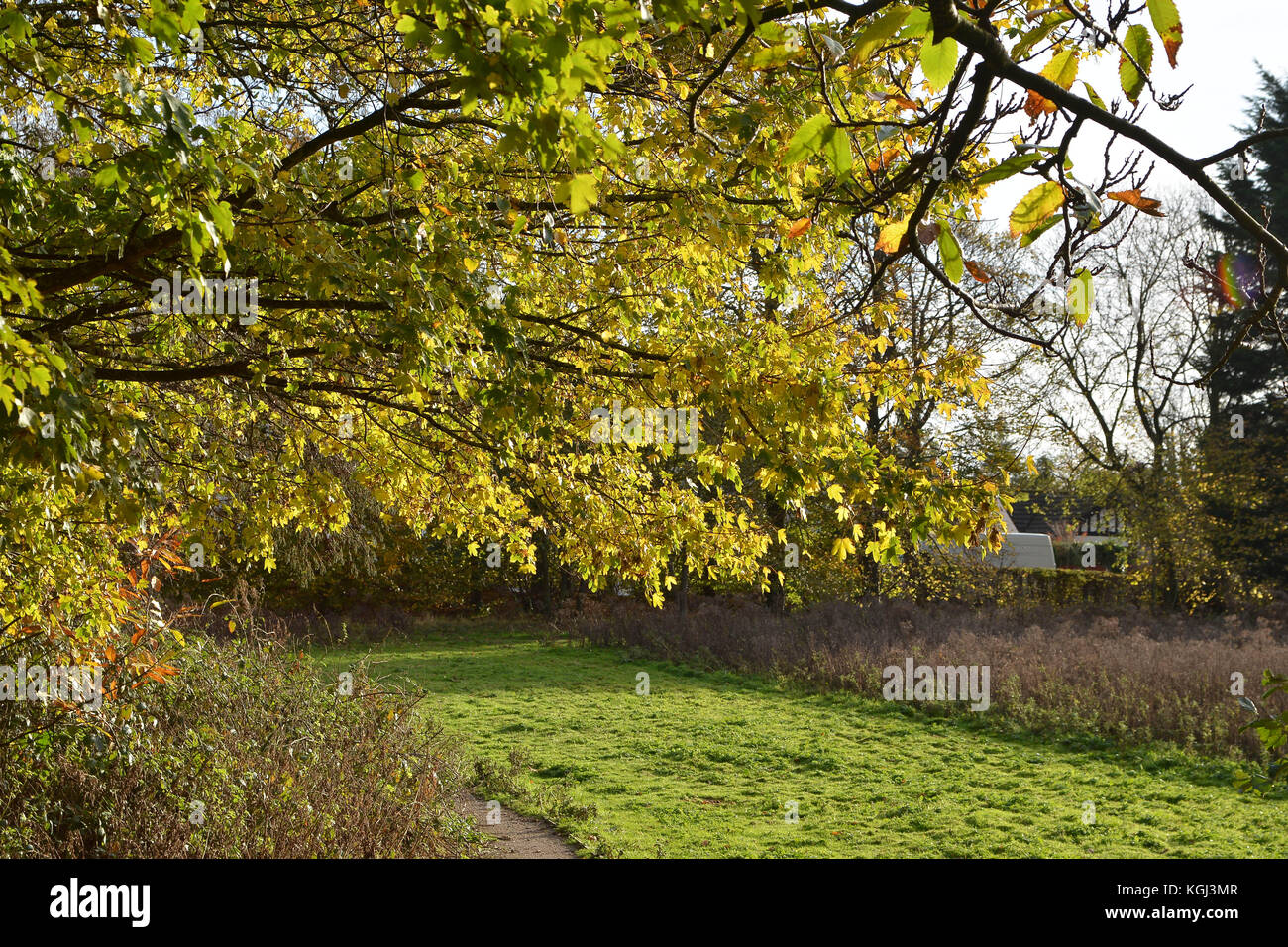 Autumn time across England Stock Photo - Alamy