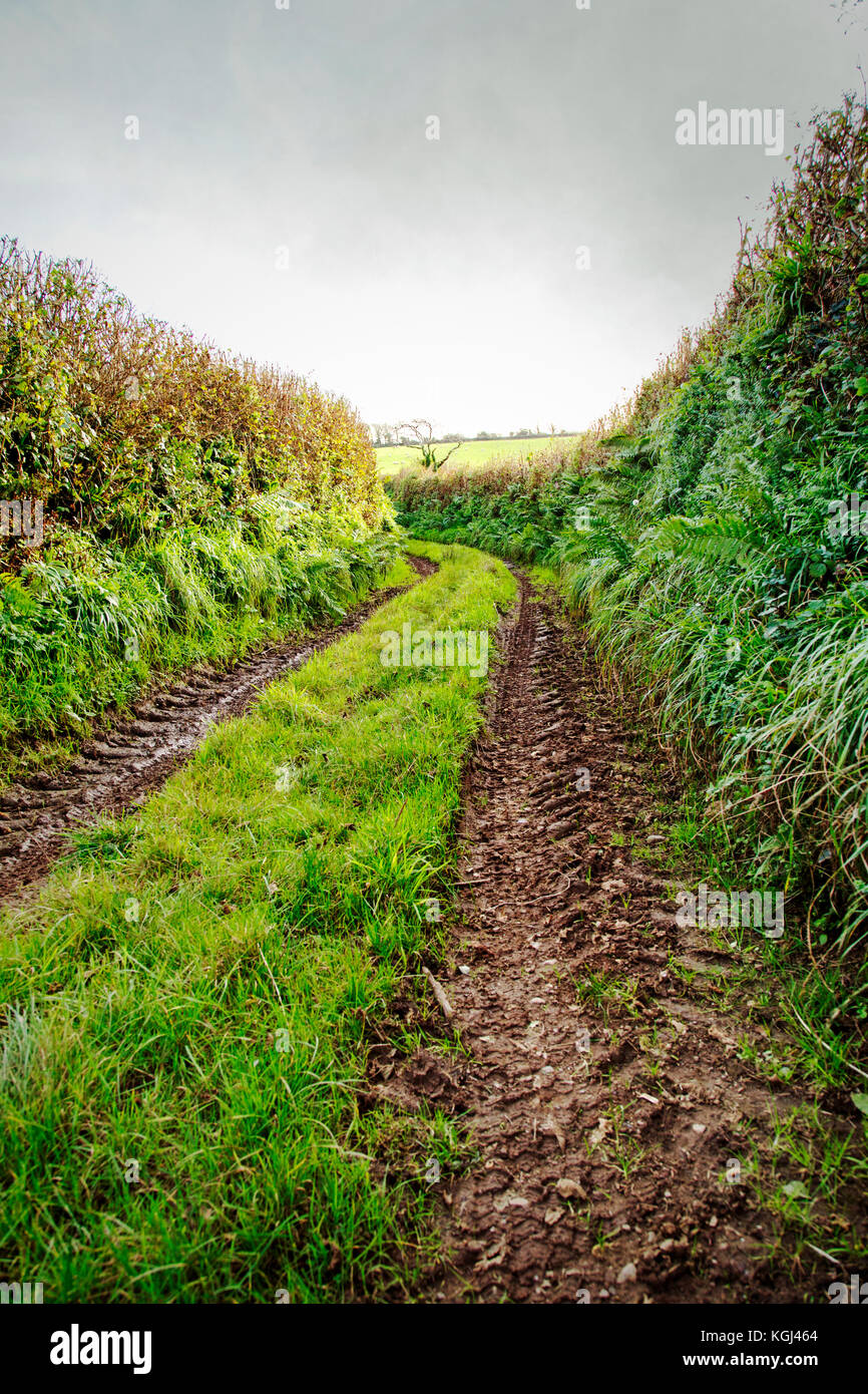 Neolithic ancient agriculture hi-res stock photography and images - Alamy