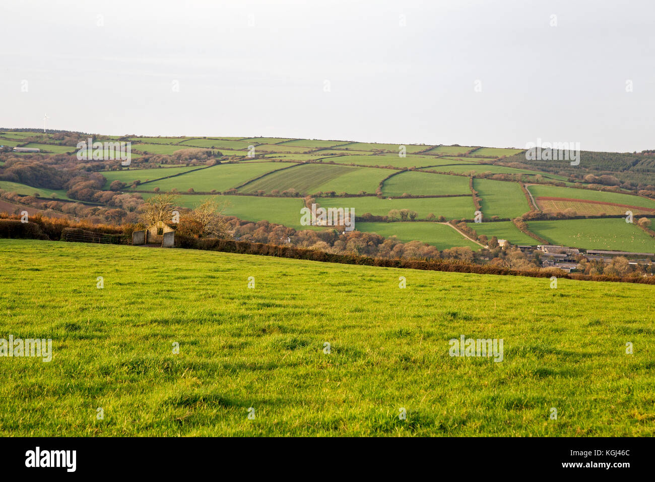 Beautiful Cornish farmland landscape Stock Photo - Alamy