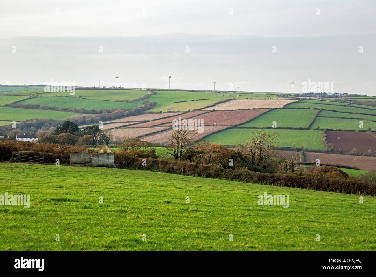 Beautiful Cornish farmland landscape Stock Photo - Alamy