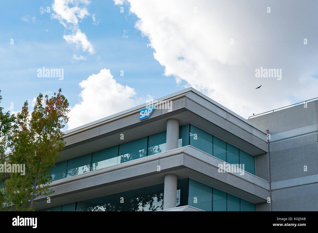 Sap logo hi-res stock photography and images - Alamy