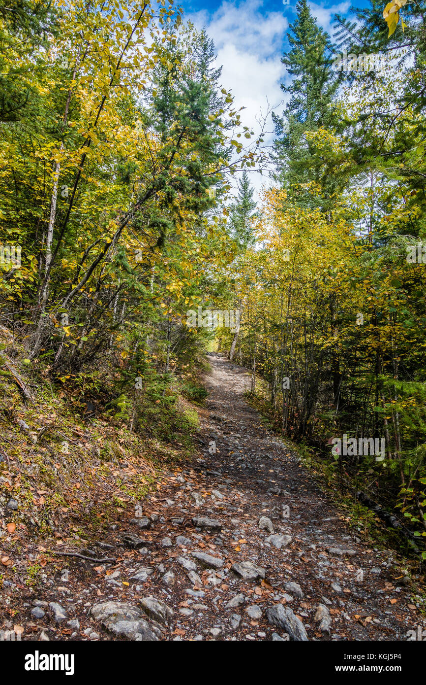 Wilderness Trail in Pristine Mountain Environment Stock Photo - Alamy