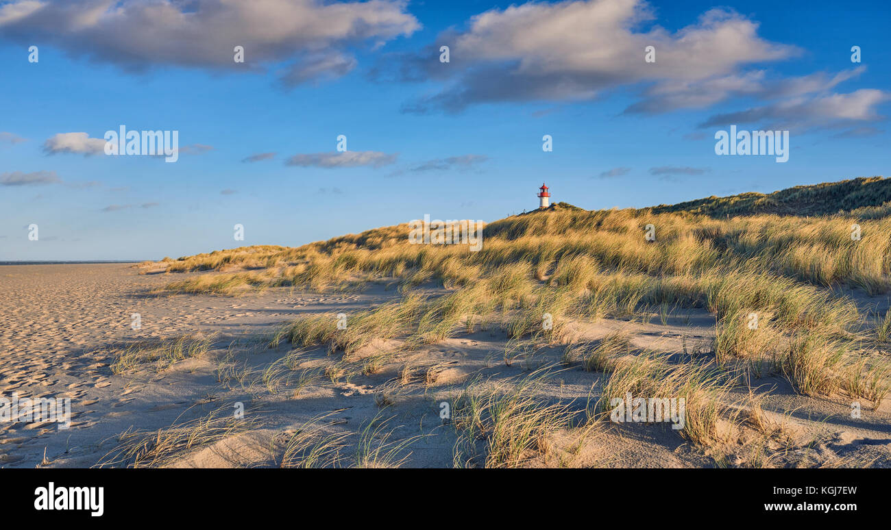 Deserted beach with lighthouse behind sand dunes in evening light in a ...
