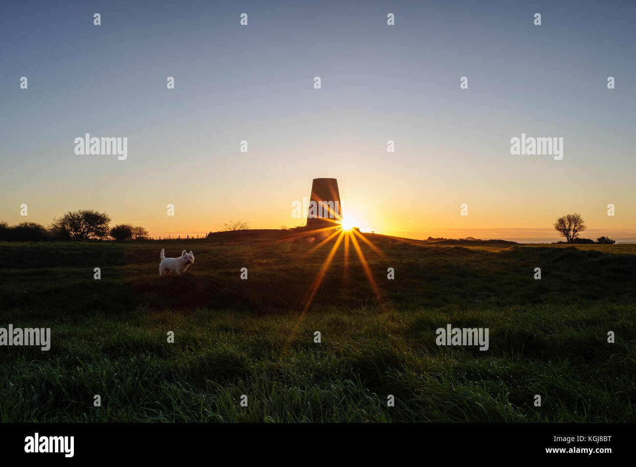 Cleadon, UK. 8th Nov, 2017. UK Weather. Cleadon Windmill at sunrise ...