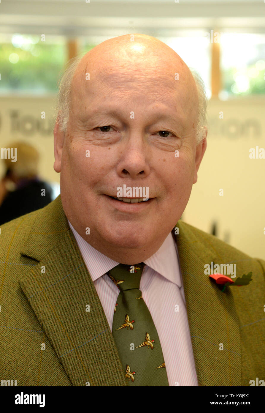 Julian Fellowes, author Julian Fellowes Stock Photo - Alamy