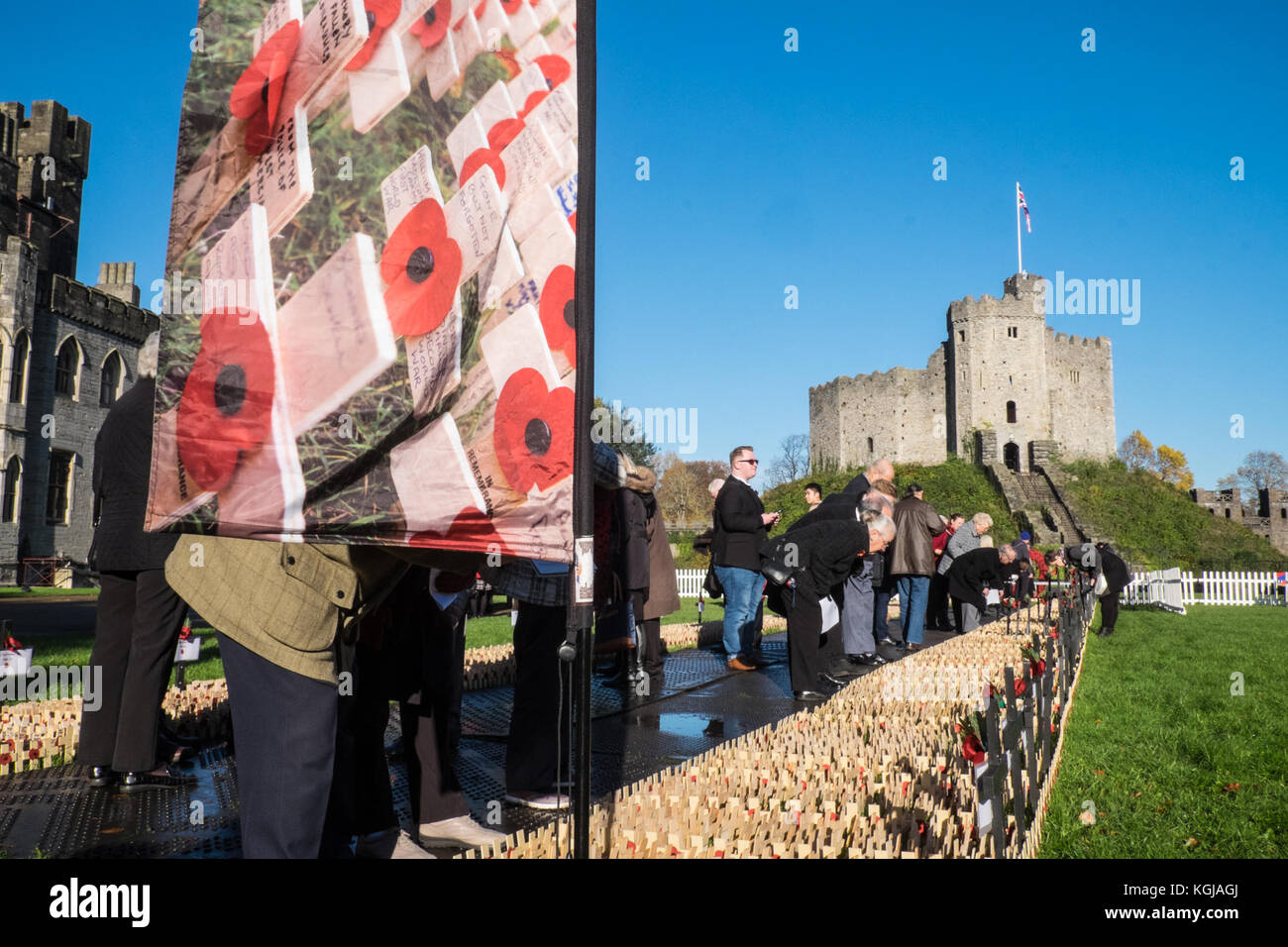 Cardiff, UK. 8th Nov, 2017.The Royal British Legion Field of ...