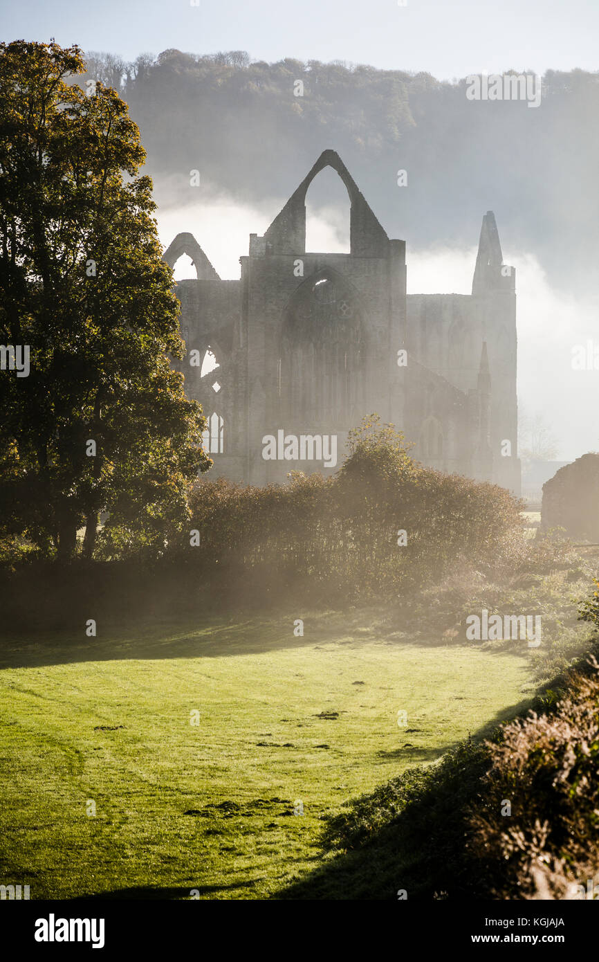 Beautiful misty autumn morning at Tintern Abbey, Monmouthshire, Wales ...