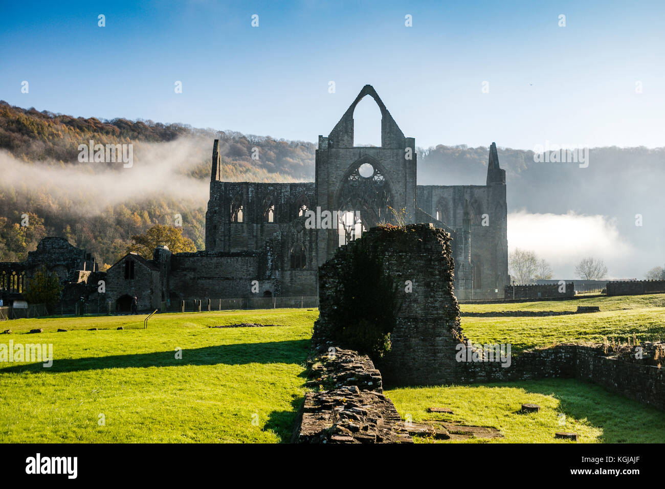 Beautiful misty autumn morning at Tintern Abbey, Monmouthshire, Wales ...