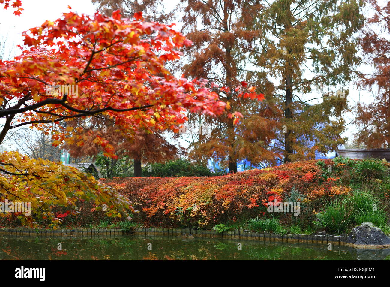 Bonn, Germany. 08th Nov, 2017. COP23 UN Climate Change Conference, Bonn ...