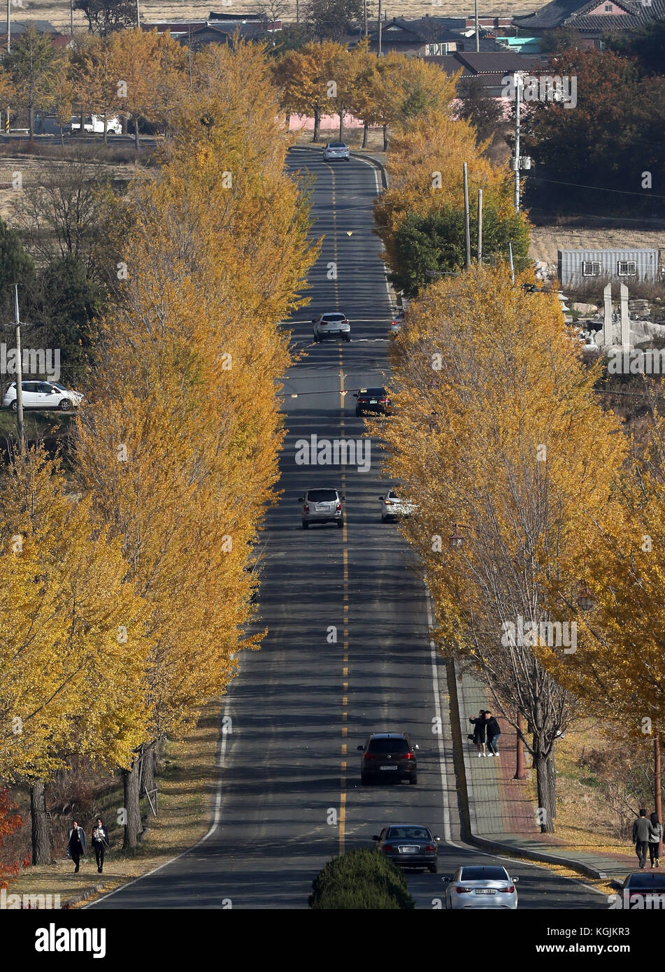 09th Nov, 2017. Street adorned with yellow foliage This photo, taken on ...