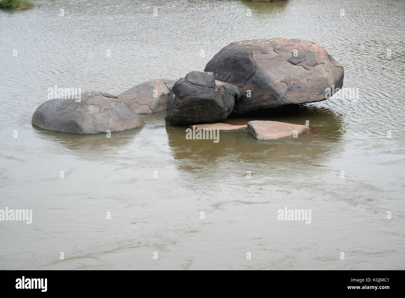 Myriad forms hi-res stock photography and images - Alamy