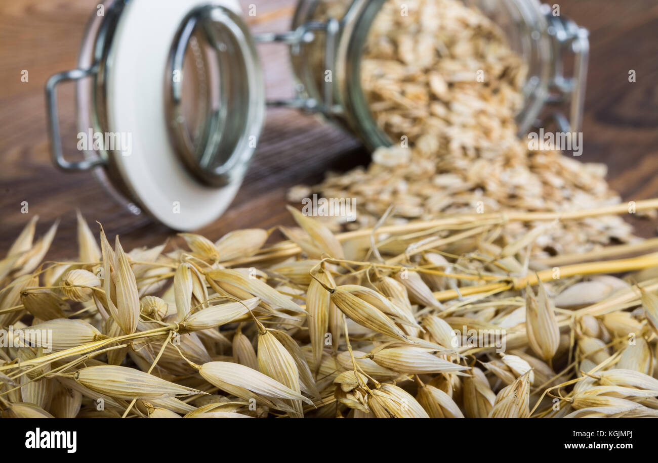 Oat ears hi-res stock photography and images - Alamy