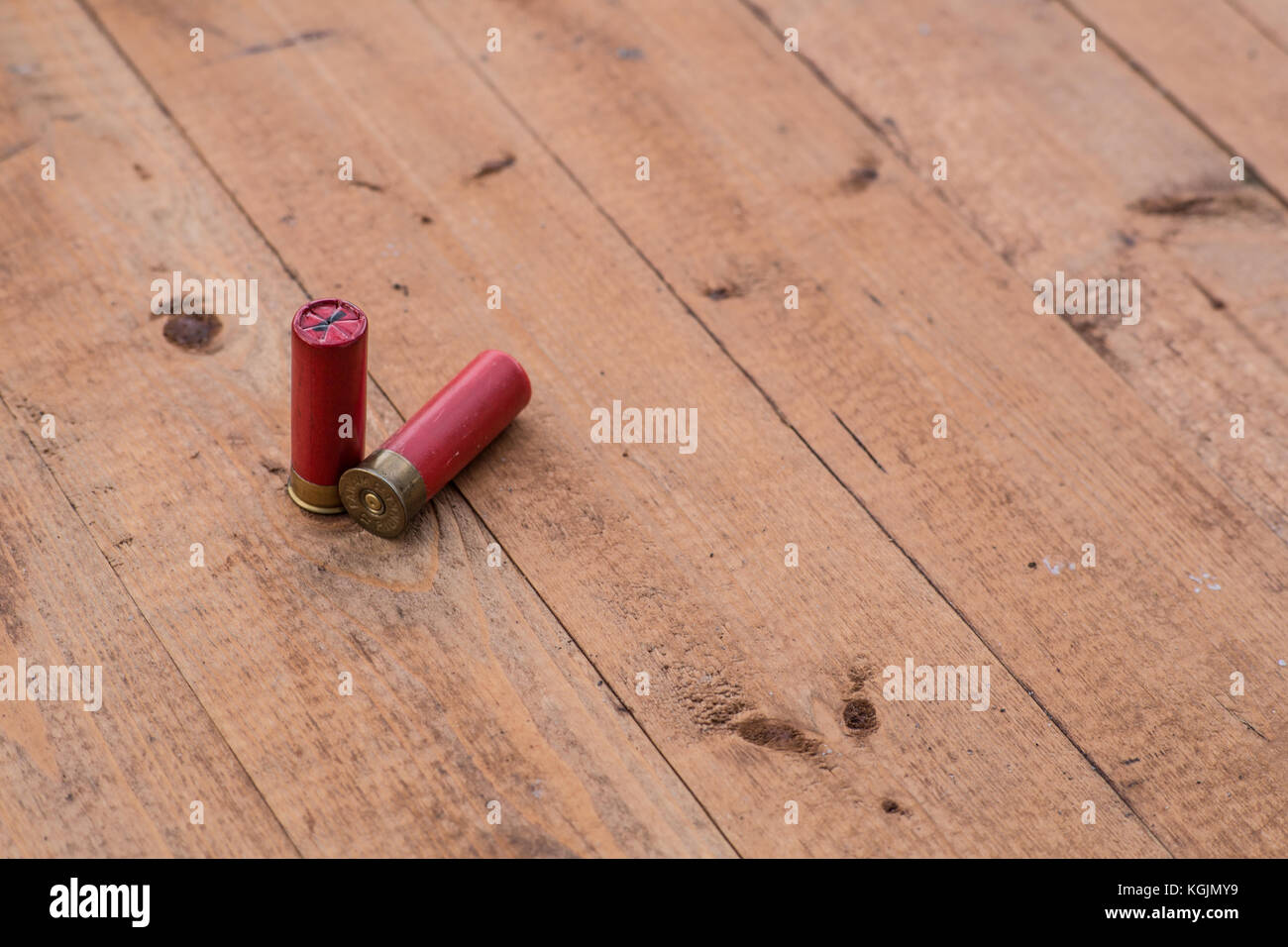 Two buckshots on a table Stock Photo - Alamy