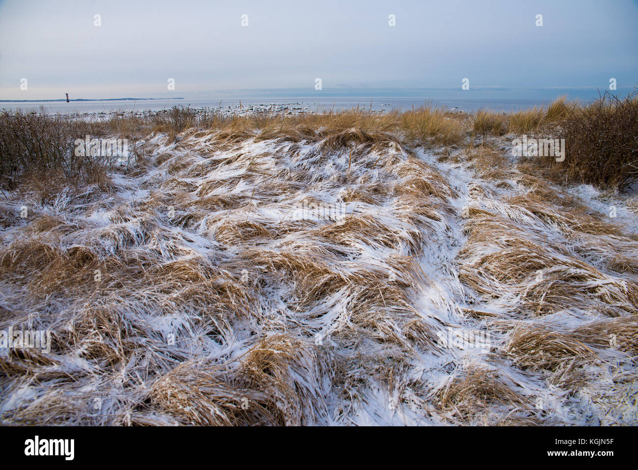 landscape Stock Photo - Alamy