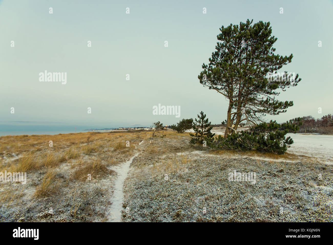 landscape Stock Photo - Alamy