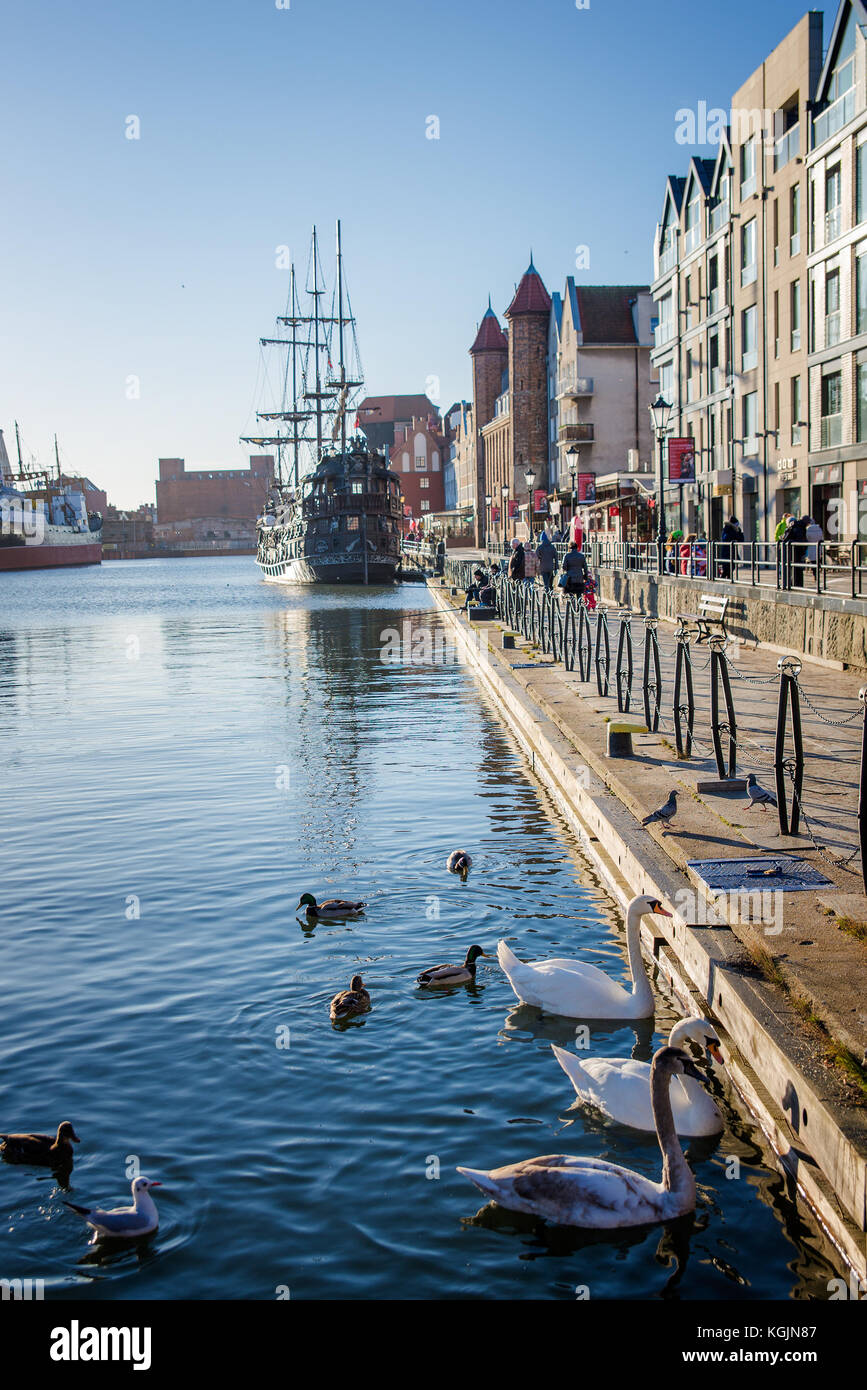 Gdansk poland architecture hi-res stock photography and images - Alamy