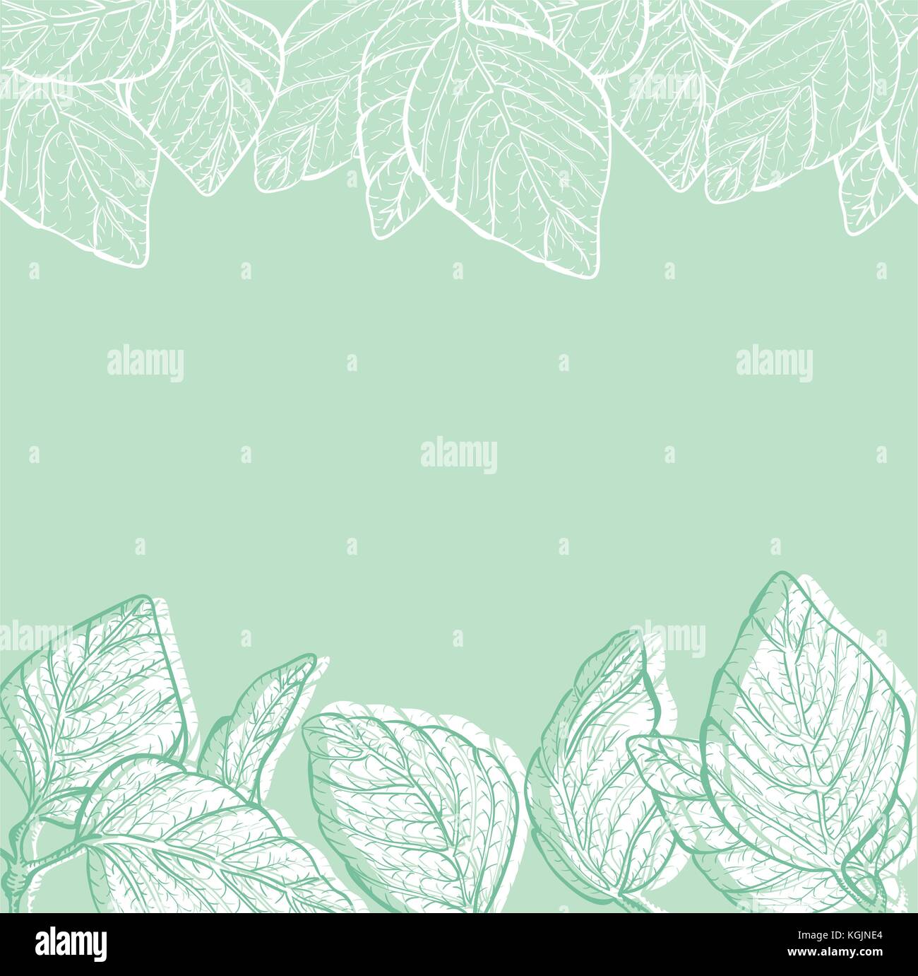 Eco green background in mint colors Stock Vector Image & Art - Alamy