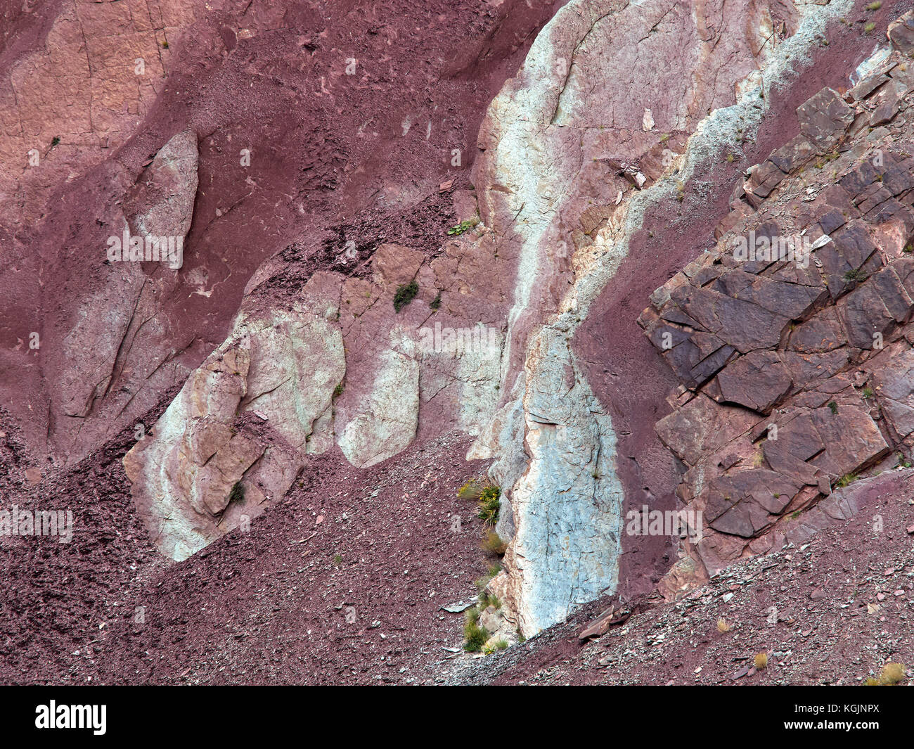 Abstract background texture of sedimentary sandy rocks of burgundy ...