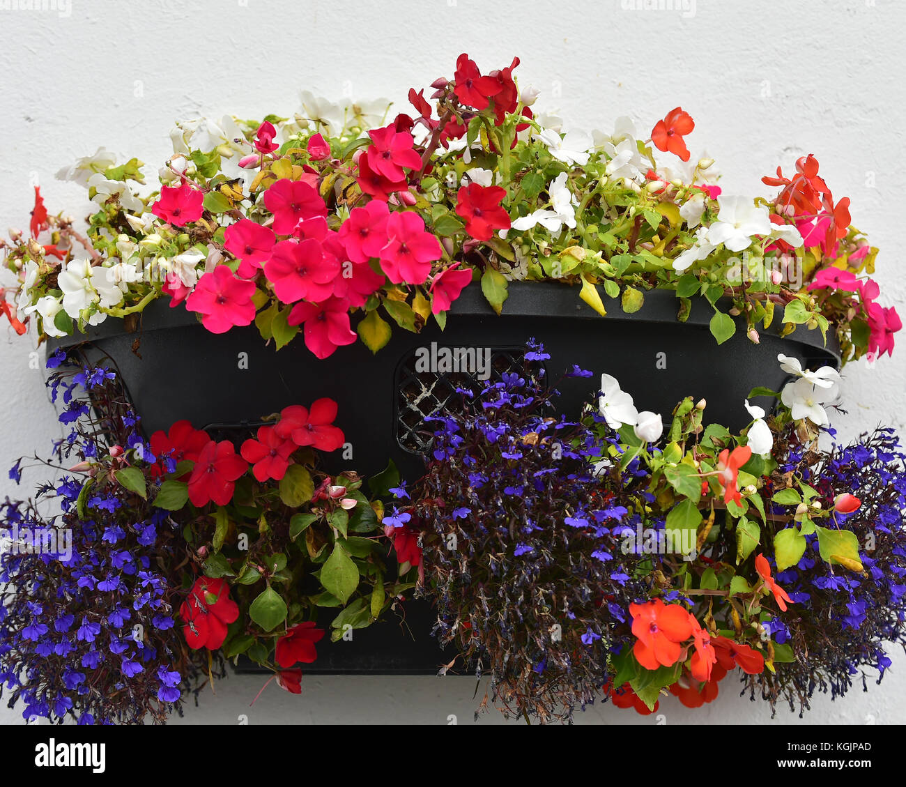 Double flower rows, pre-war cars, VSCC, Formula Vintage, Round 4 ...