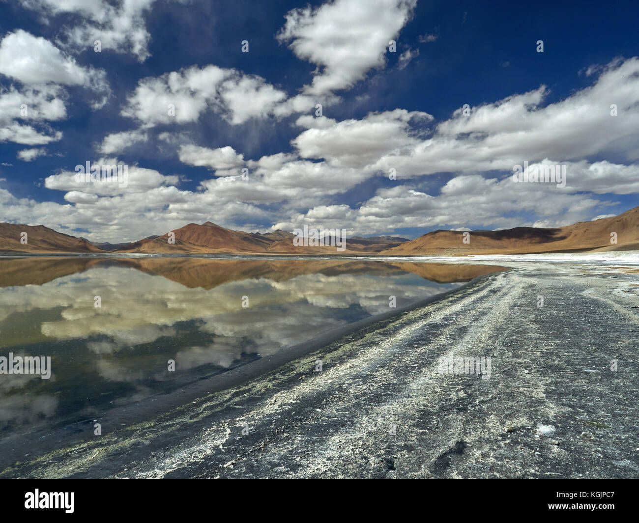 Whitish shore of the salt lake Tso Moriri: in the blue surface of the ...