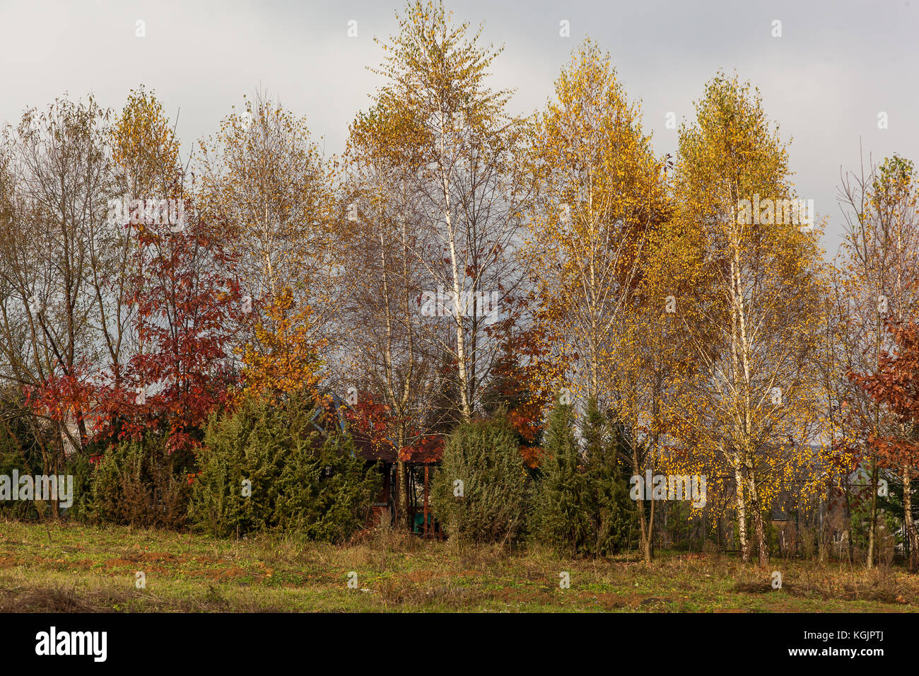 Autumn landscape in the western Ukrainian Carpathians Stock Photo - Alamy