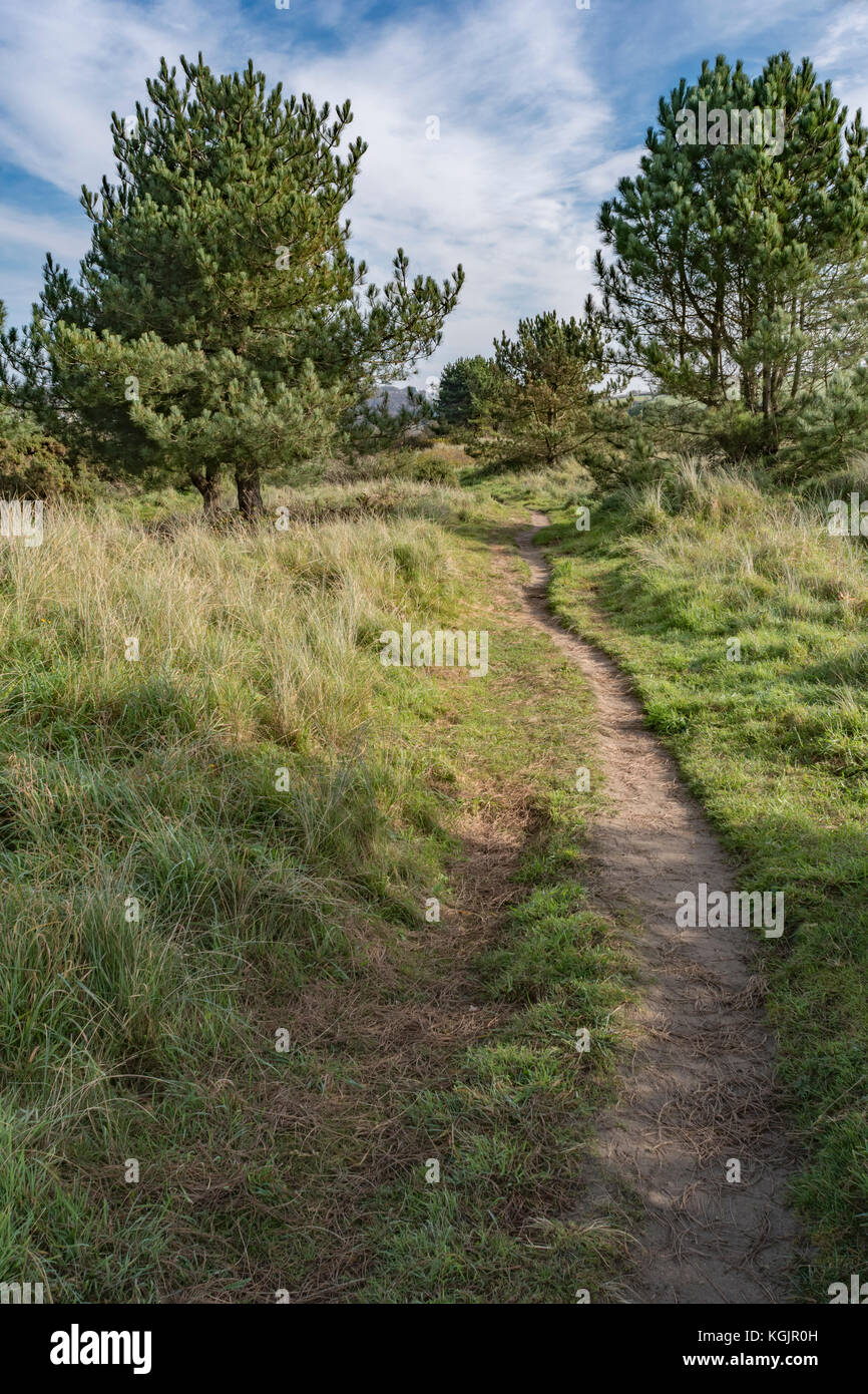 Footpath leading into the distance - metaphor for career path, making ...