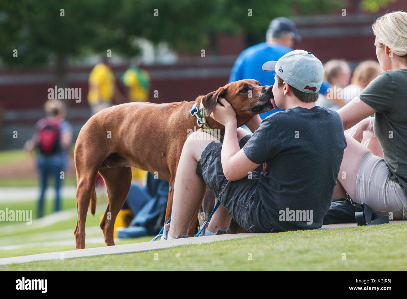 Suwanee, GA, USA - May 6, 2017: A teenage boy lets his dog lick his ...