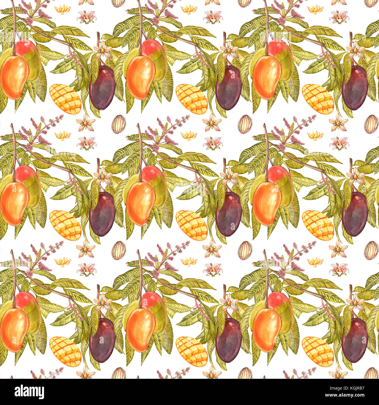 Mango tree vintage seamless pattern. Mango Fruit Watercolor botanical ...
